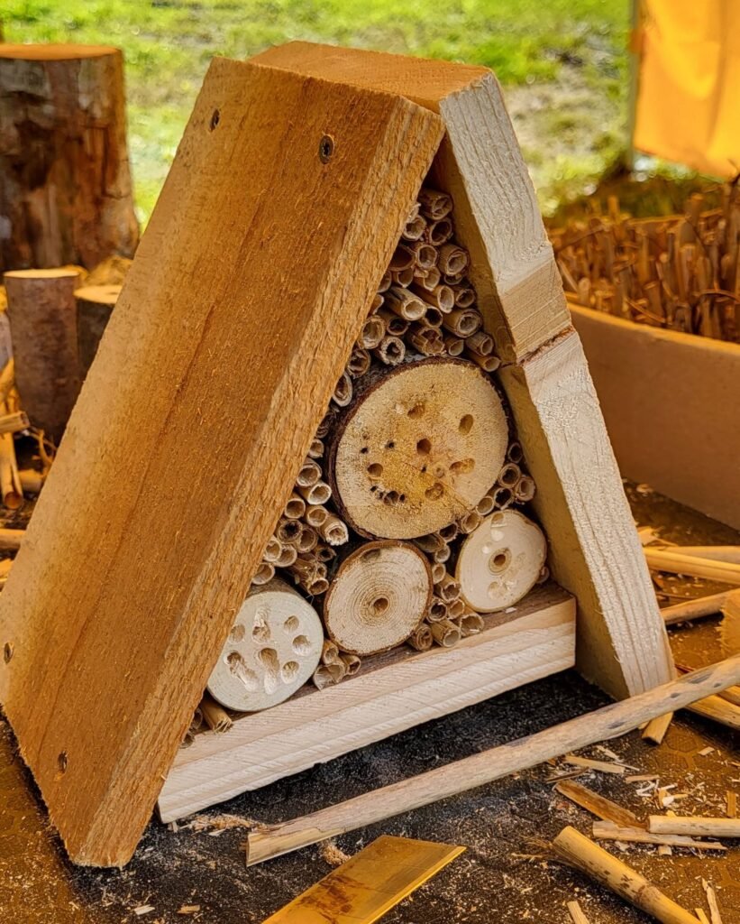 Promote a Healthy Ecosystem: Create a Wildlife-Friendly Garden | Weekly ...